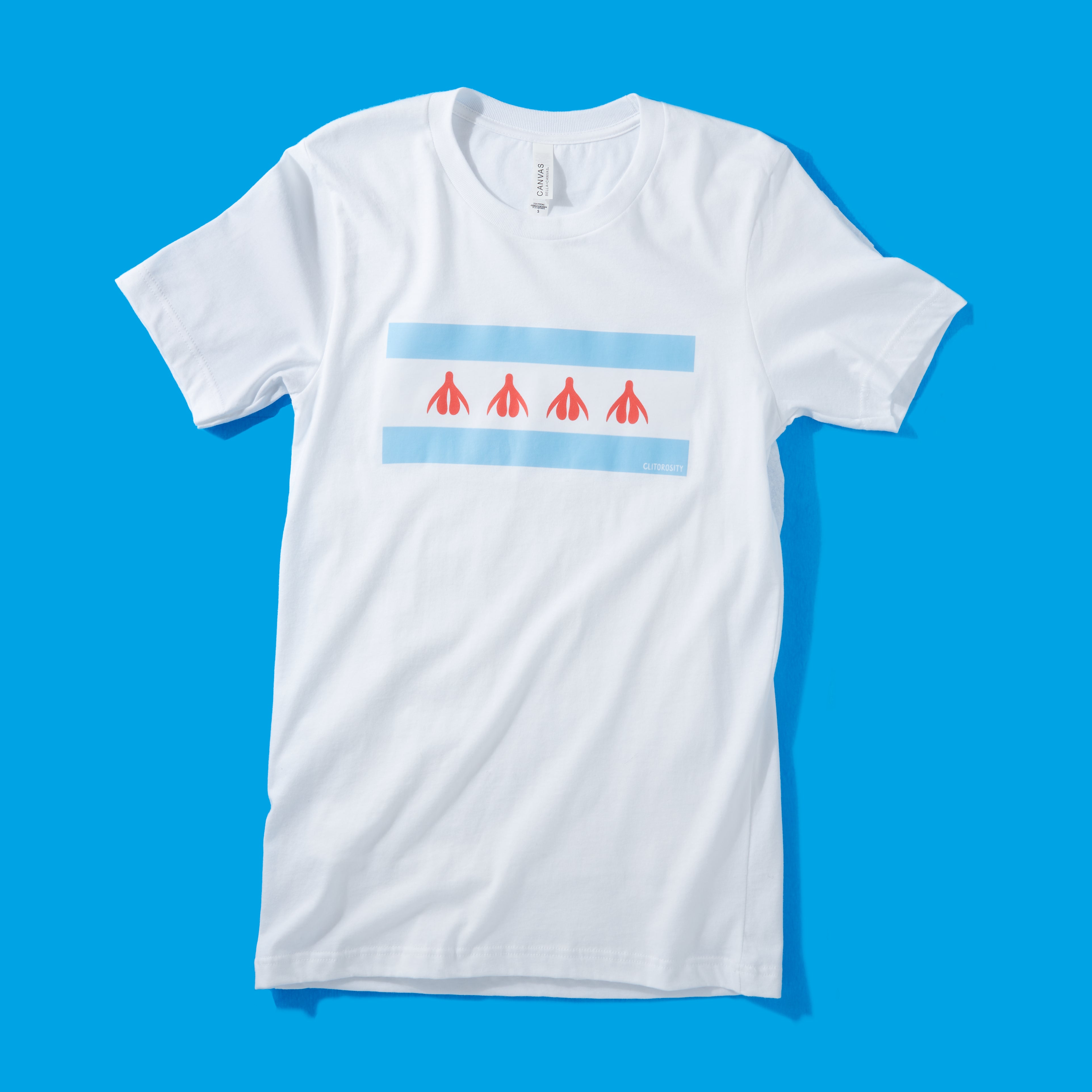 Chicago Flag T-Shirt – Clitorosity
