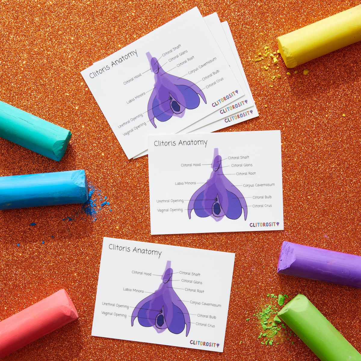 Anatomy Stickers - Set of 3 – Clitorosity